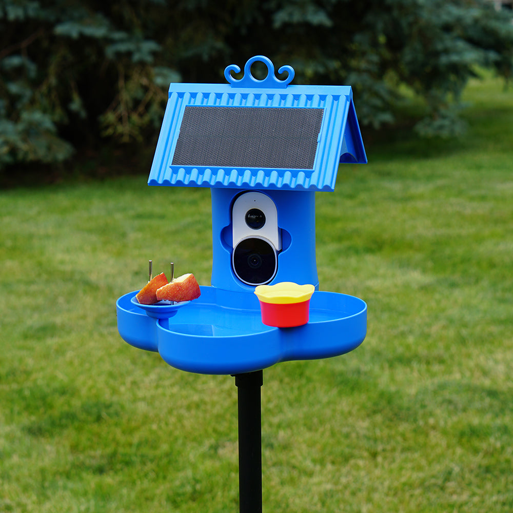 Hello Birdie Smart Bird Bath with App-Based Recognition– Limitless ...
