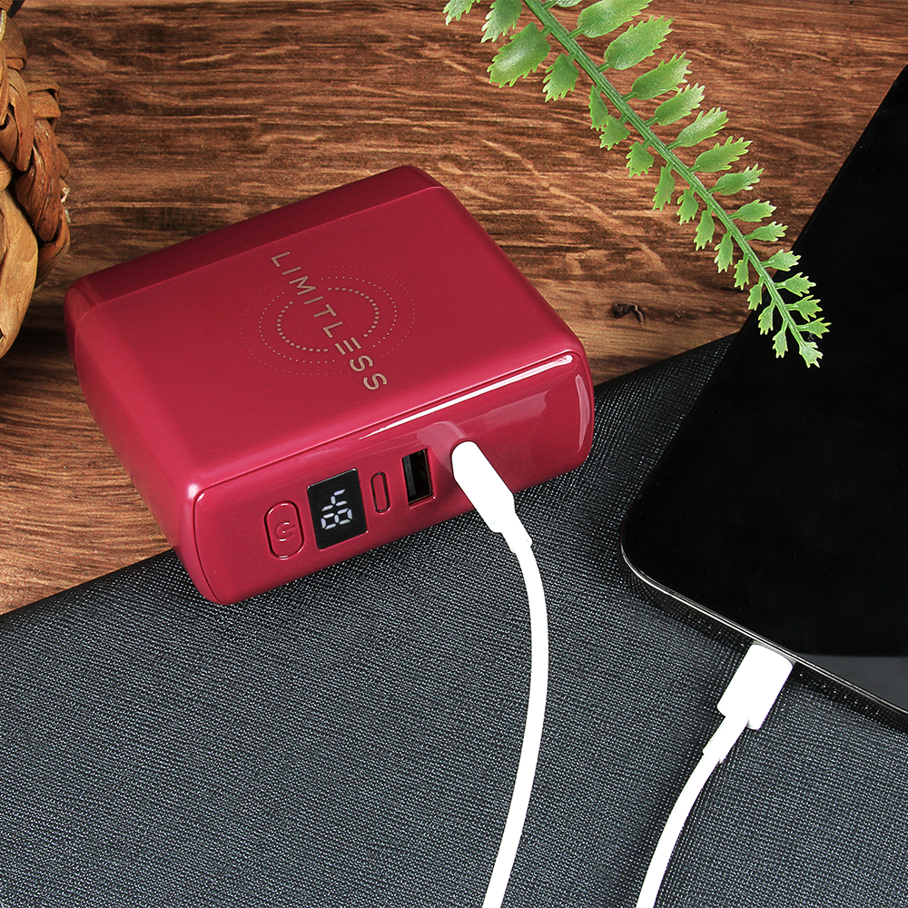 PowerPro Go - 3-In-1 Wall Charger and 10,000mAh Portable Power Bank wi ...