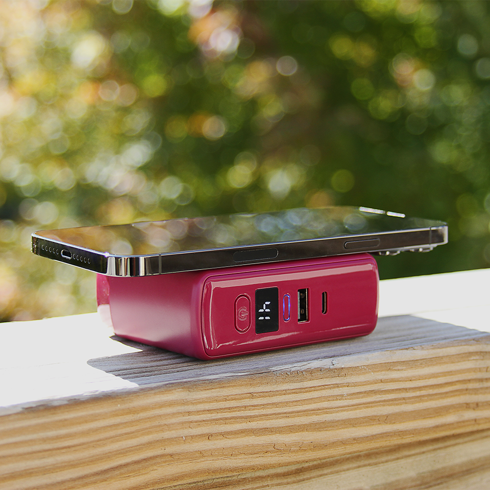 PowerPro Go - 3-In-1 Wall Charger and 10,000mAh Portable Power Bank wi ...