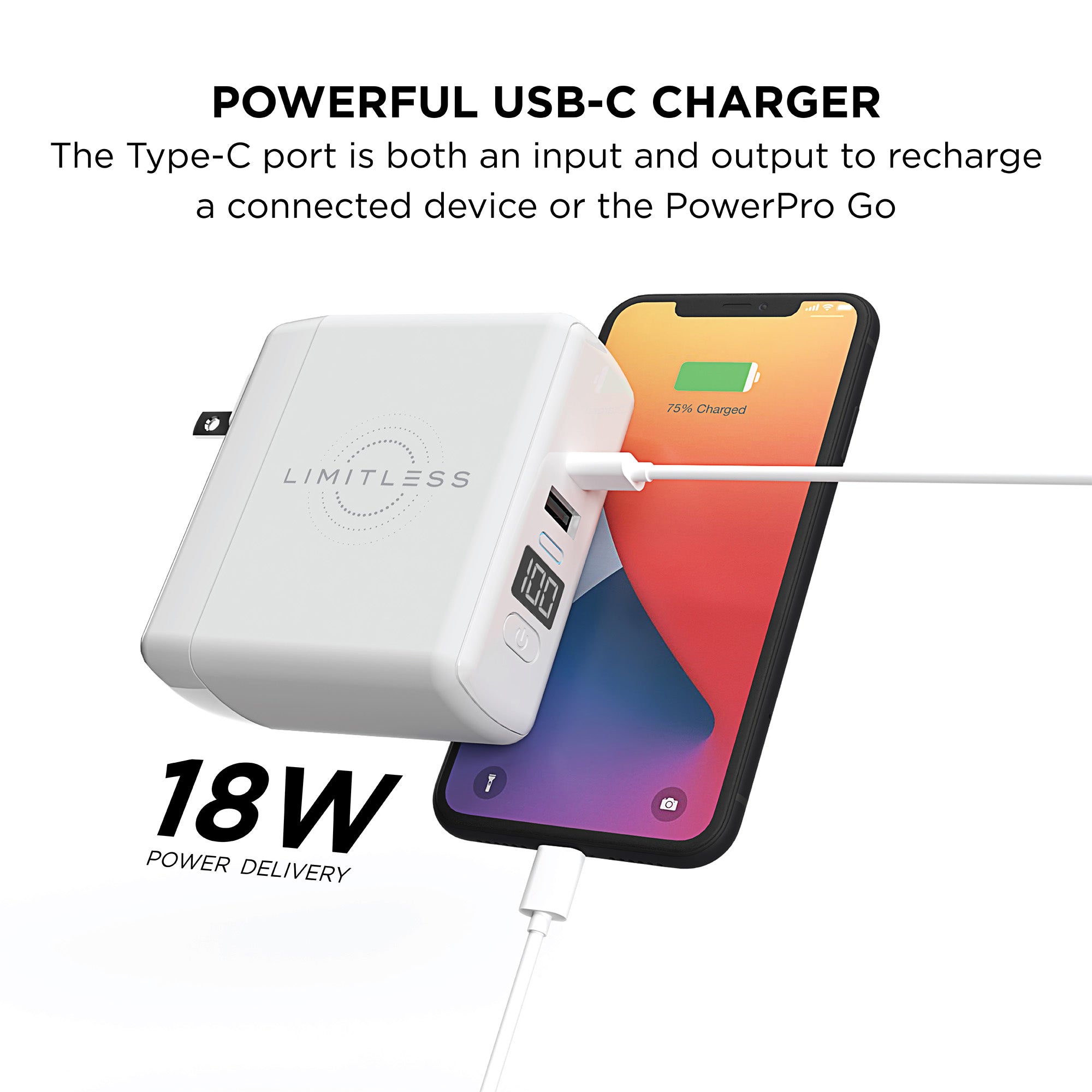 PowerPro Go - 3-In-1 Wall Charger and 10,000mAh Portable Power Bank wi ...